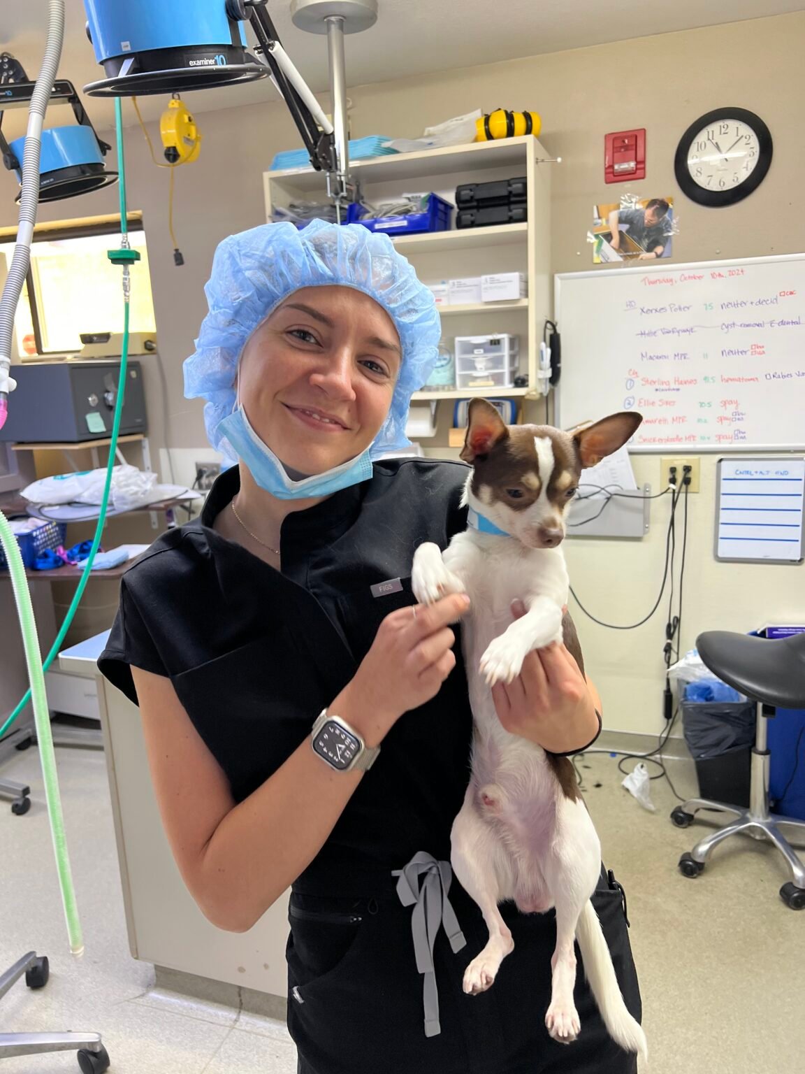 Meet the team – Peak Veterinary Hospital